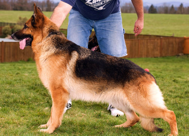 Randa Vom Hauswalder Bach